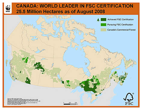 What Is The Forest Stewardship Council? | WWF-Canada